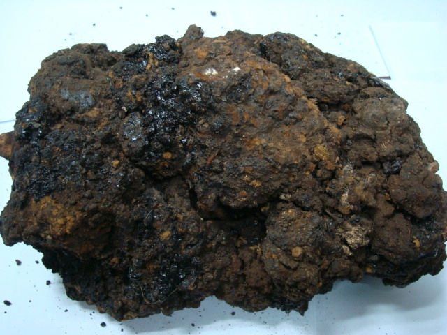 What Is Shilajit? | Be Well Buzz