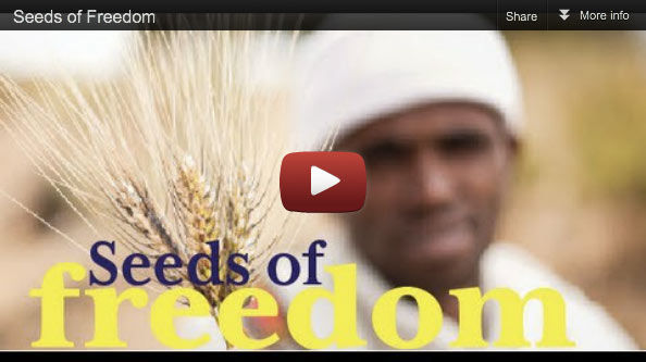 Seeds of Freedom | Be Well Buzz