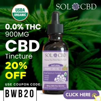 BeWellBuzz Blog: Empowering Holistic Health & Wellness